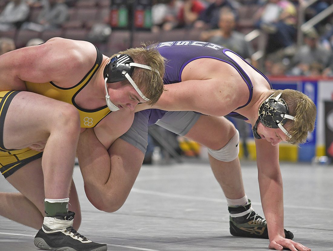 Shoemaker will be lone local medalist in 3A | News, Sports, Jobs - The ...